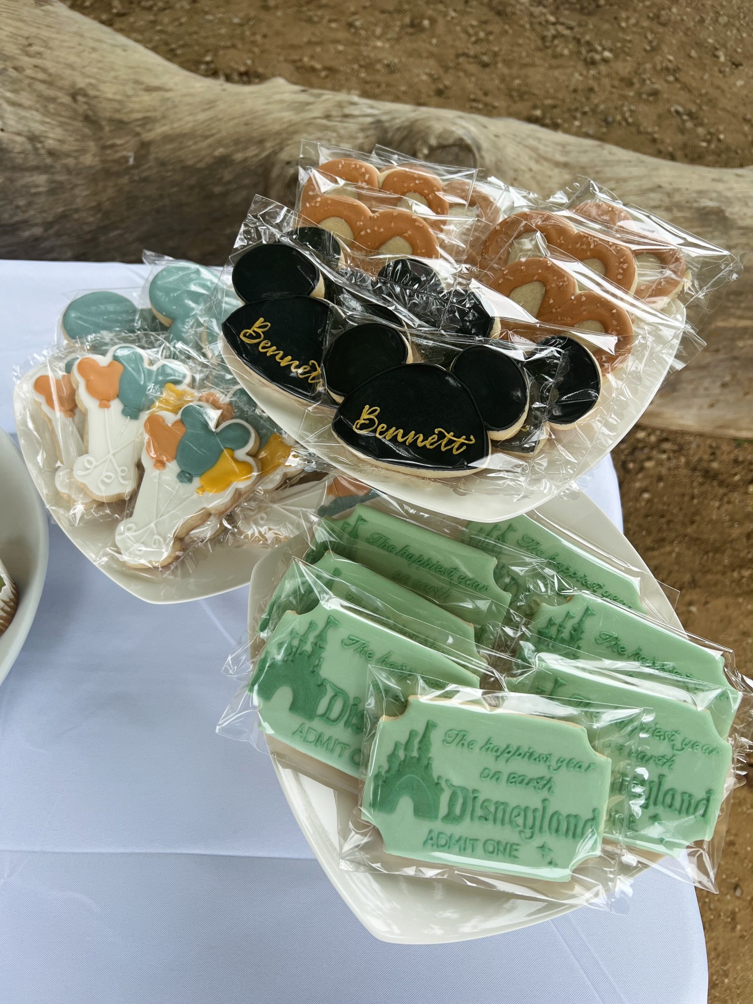 Babyland- Disneyland Themed Baby Shower – On Another Coast
