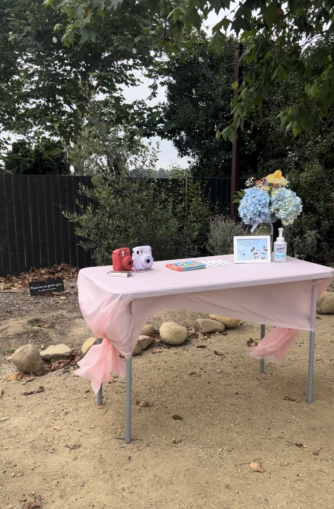 Babyland- Disneyland Themed Baby Shower – On Another Coast